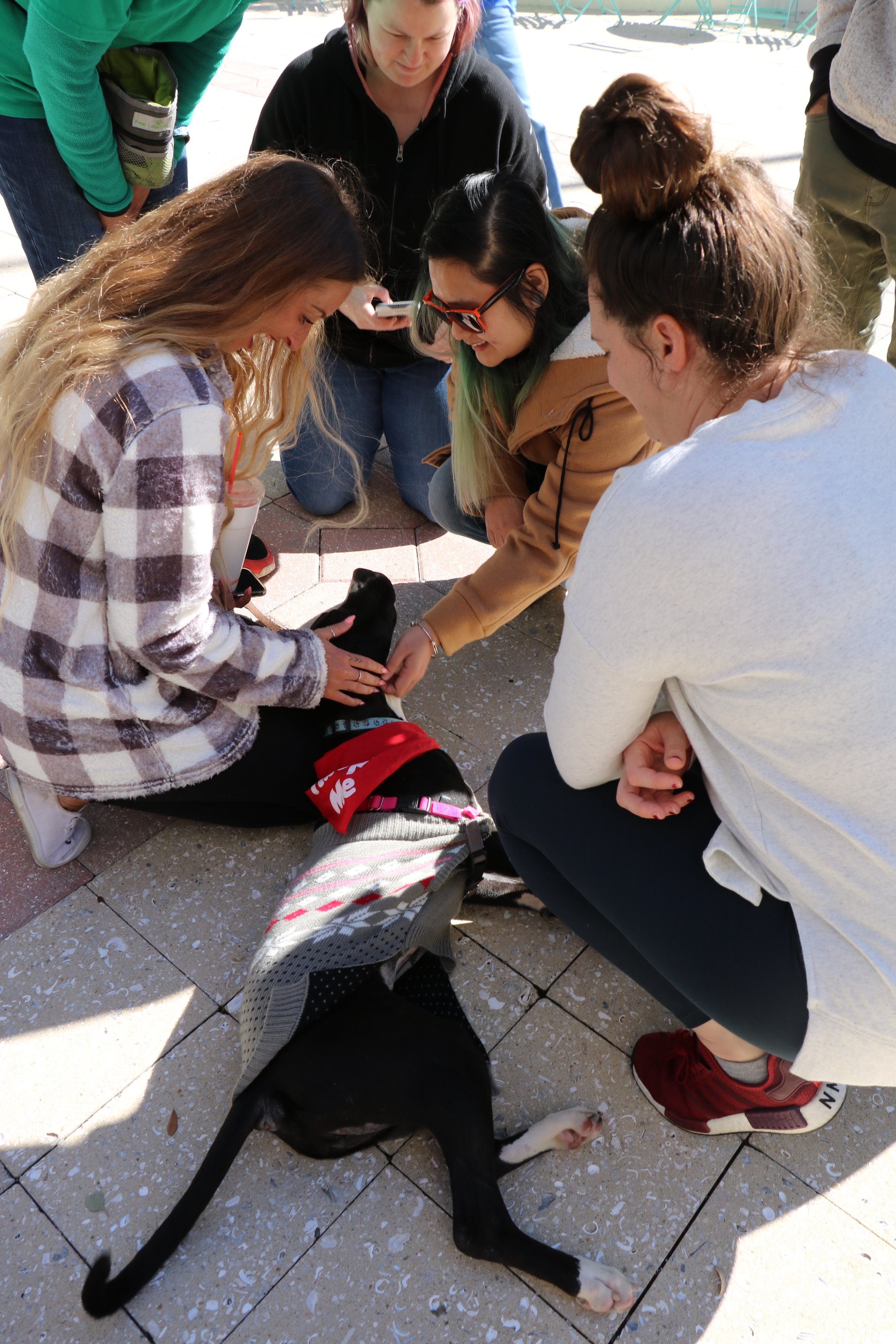 KnowBe4's Pet Adoption Drive!