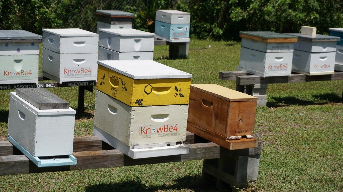 Ocean Garbage Removal and Beehive Adoption for Our 12th Anniversary!